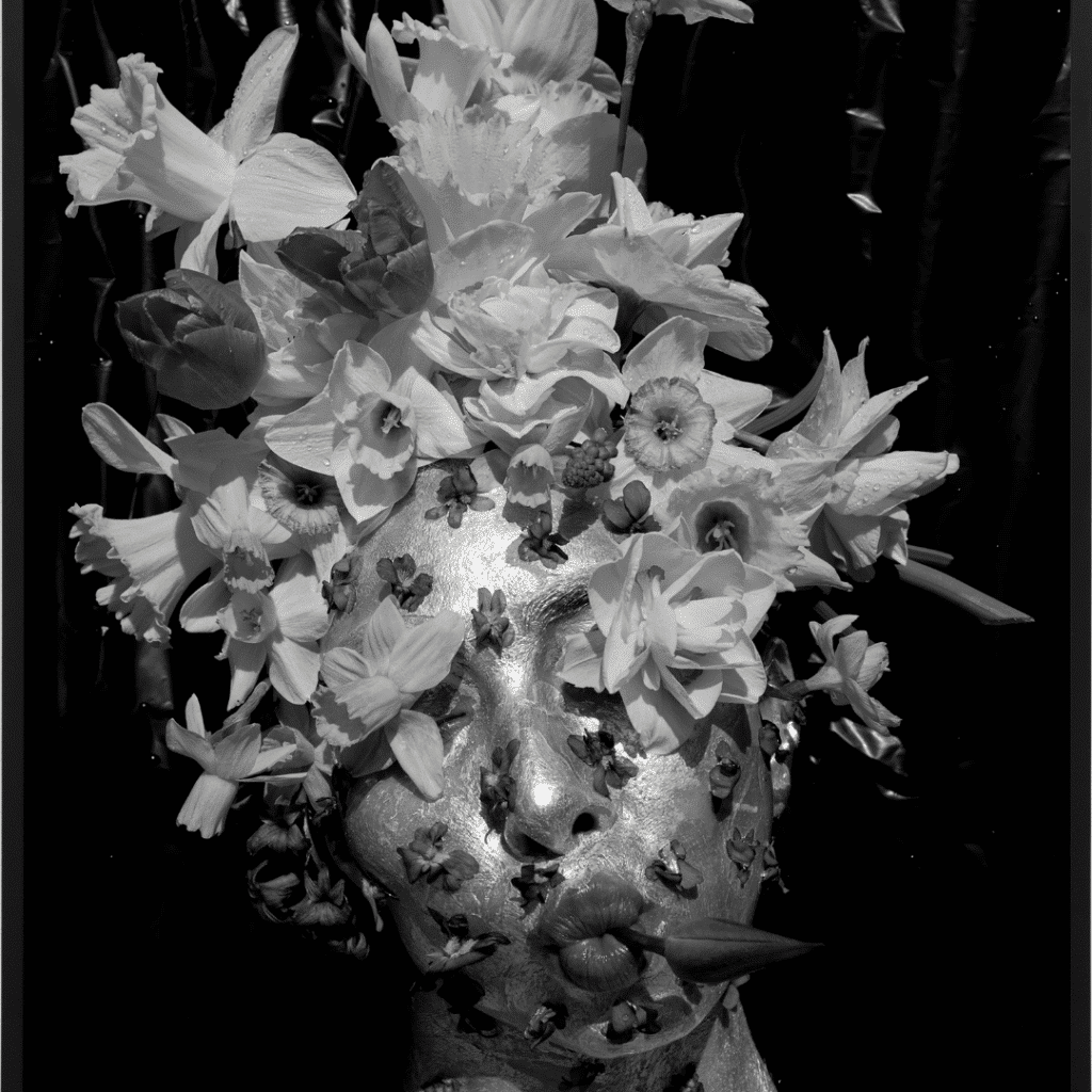 MARTINE GUTIERREZ, REAPPROPRIATING ARTIFICE - Galerie Joseph