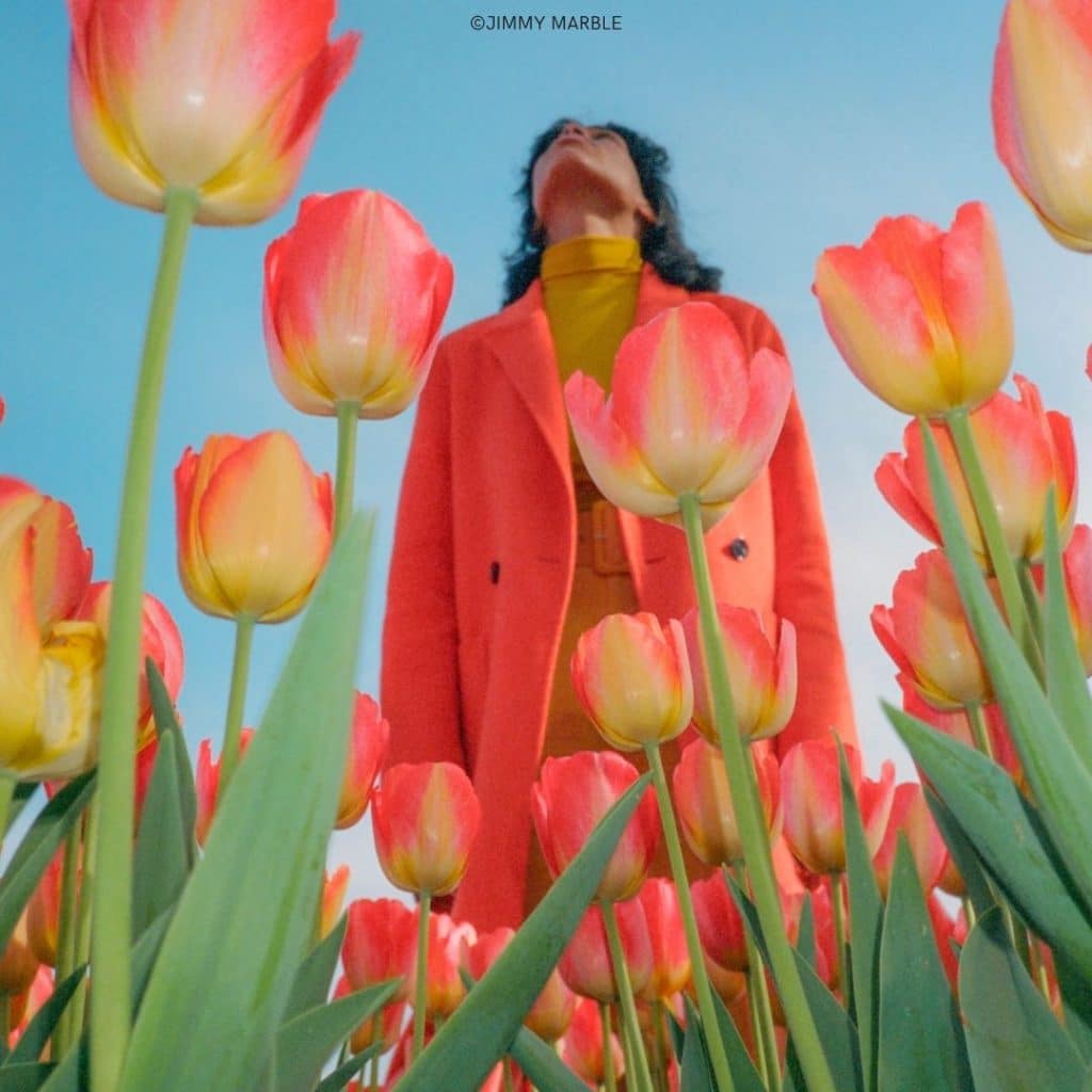 Jimmy Marble : Émotions colorées. - Galerie Joseph