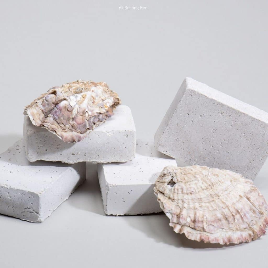 Resting Reef ou le renouveau par la mort - Galerie Joseph