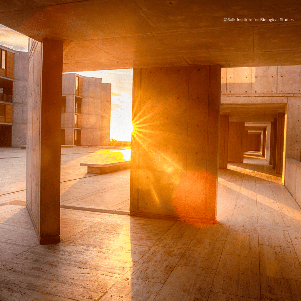 LE SALK INSTITUTE DE SAN DIEGO EN 4 POINTS - ACUMEN MAGAZINE