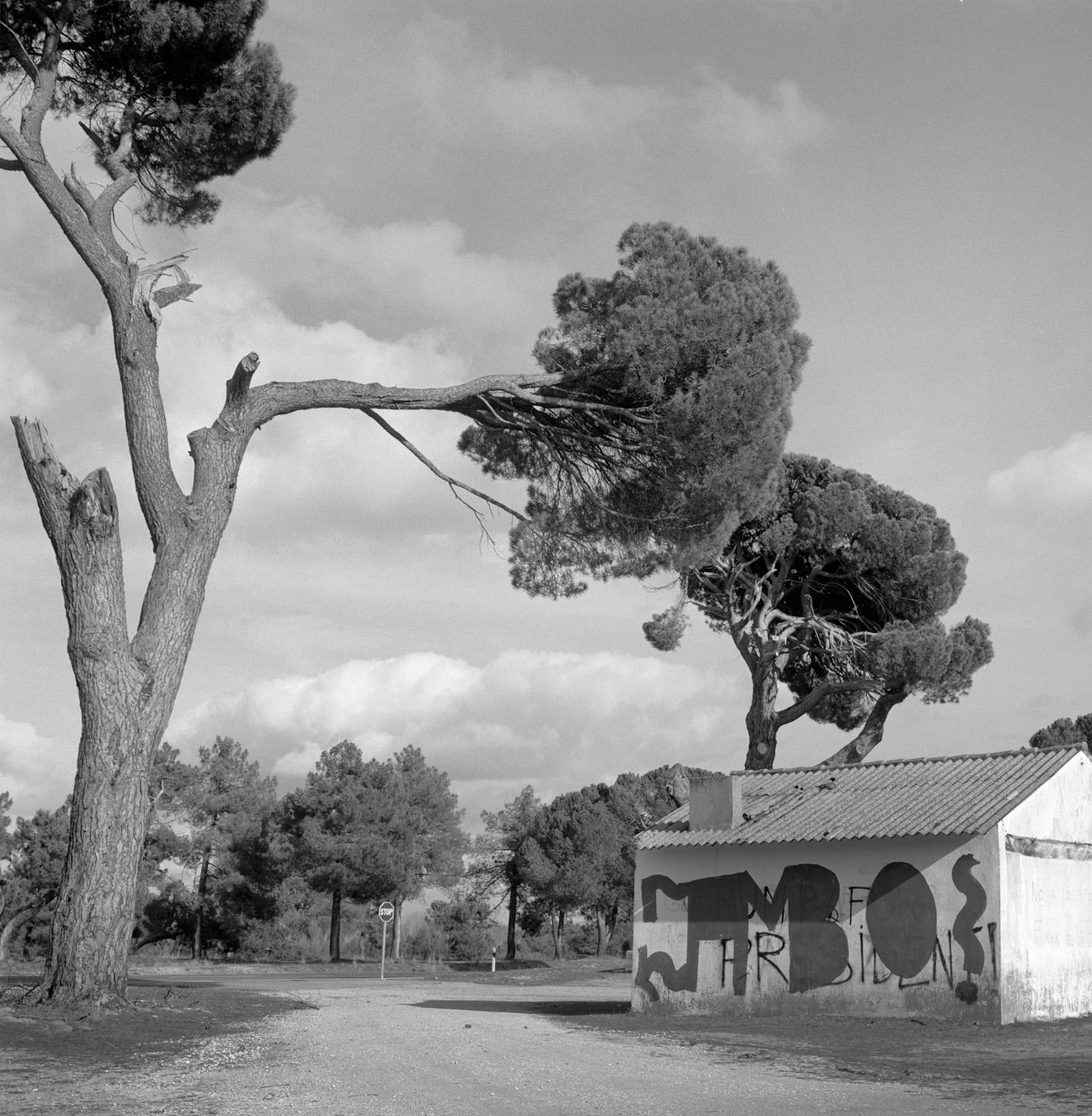 RECIT PHOTOGRAPHIQUE PAR GERRY JOHANSSON - ACUMEN 30