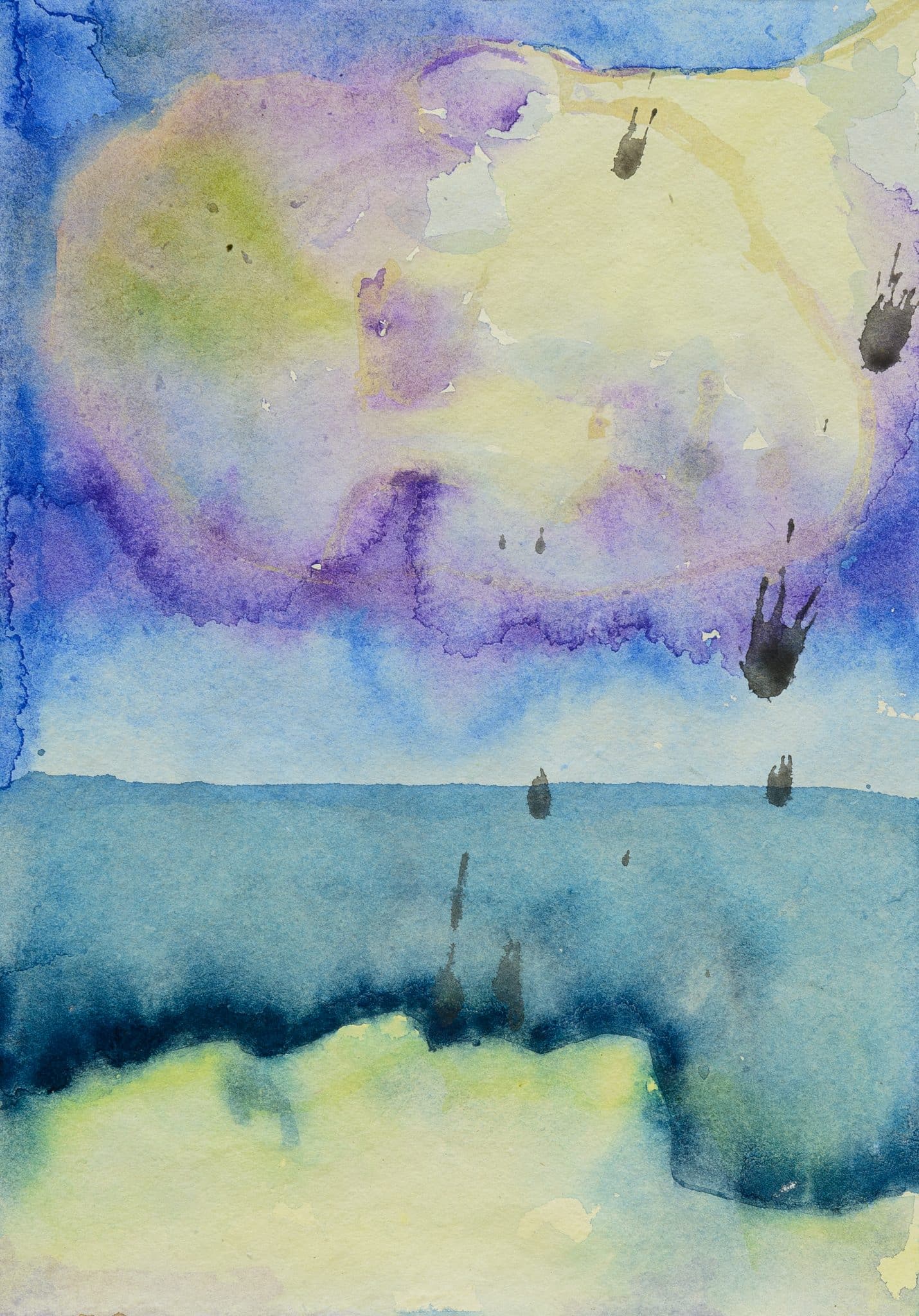 SIMON MARTIN: Evanescence / Florescence