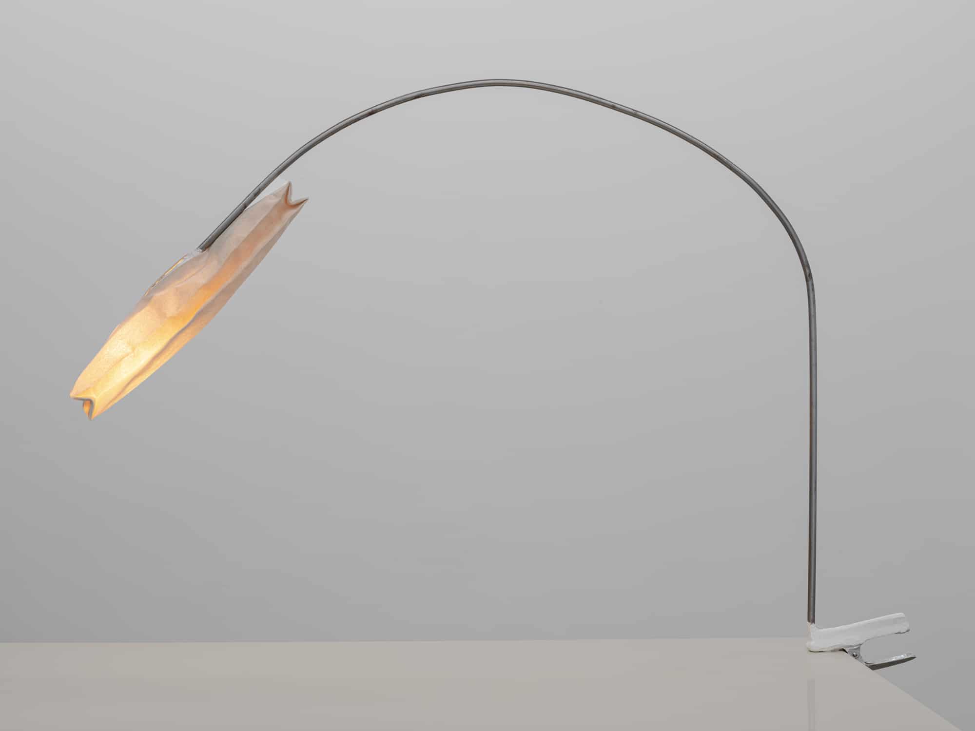 LUKAS GSCHWANDTNER, OU L’EXPLORATION DU CORPS PAR LE DESIGN - Galerie ...