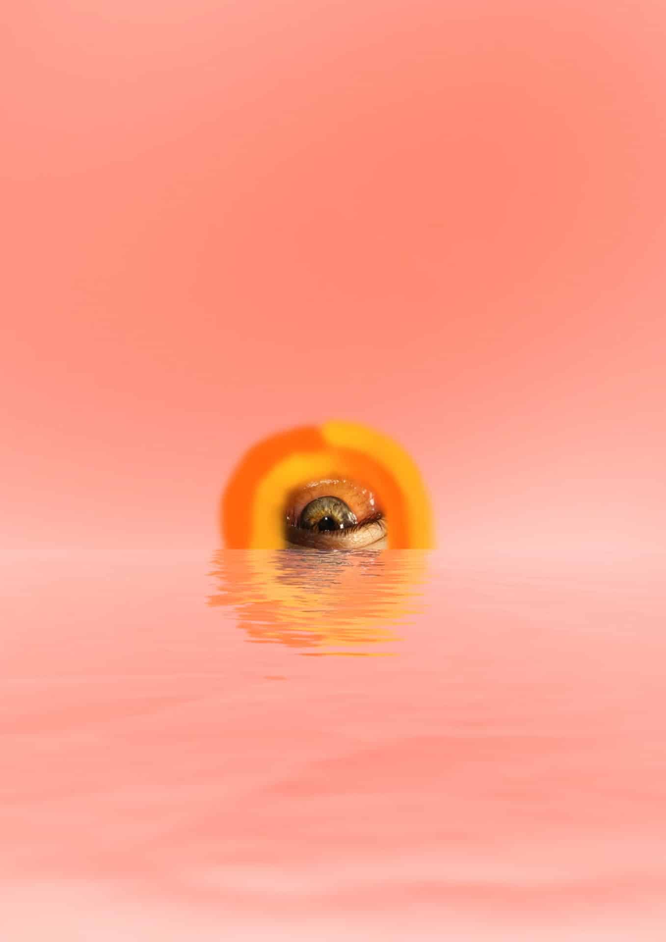 CHRISTIANE PESCHEK, LE CORPS DE L’IMAGE